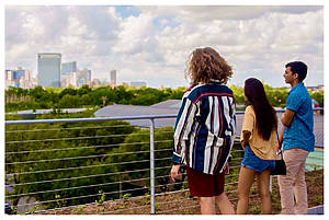 10 Spectacular Spots To Watch The Sunset In Houston