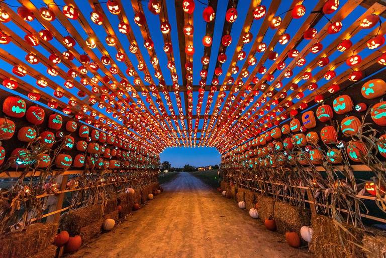 10 Of The Best Things To Do This Fall With Kids In Houston: Fall ...