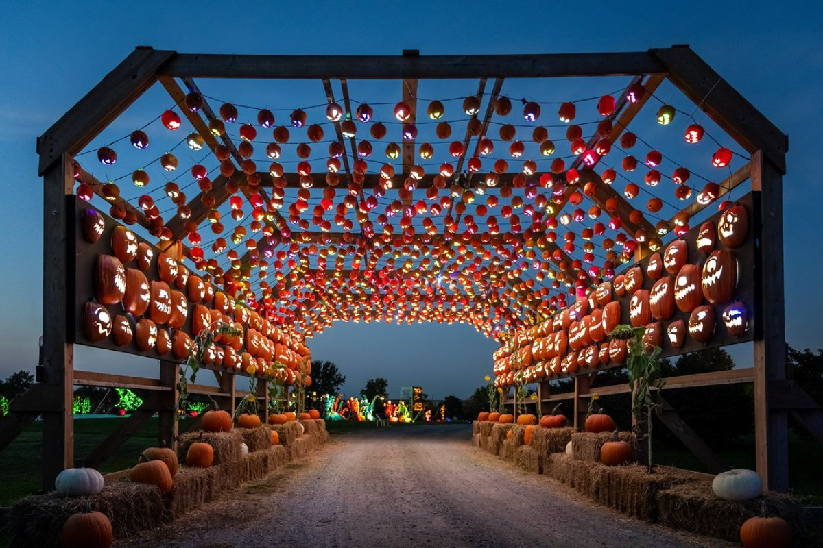 55 Terrific Things To Do This October In Houston