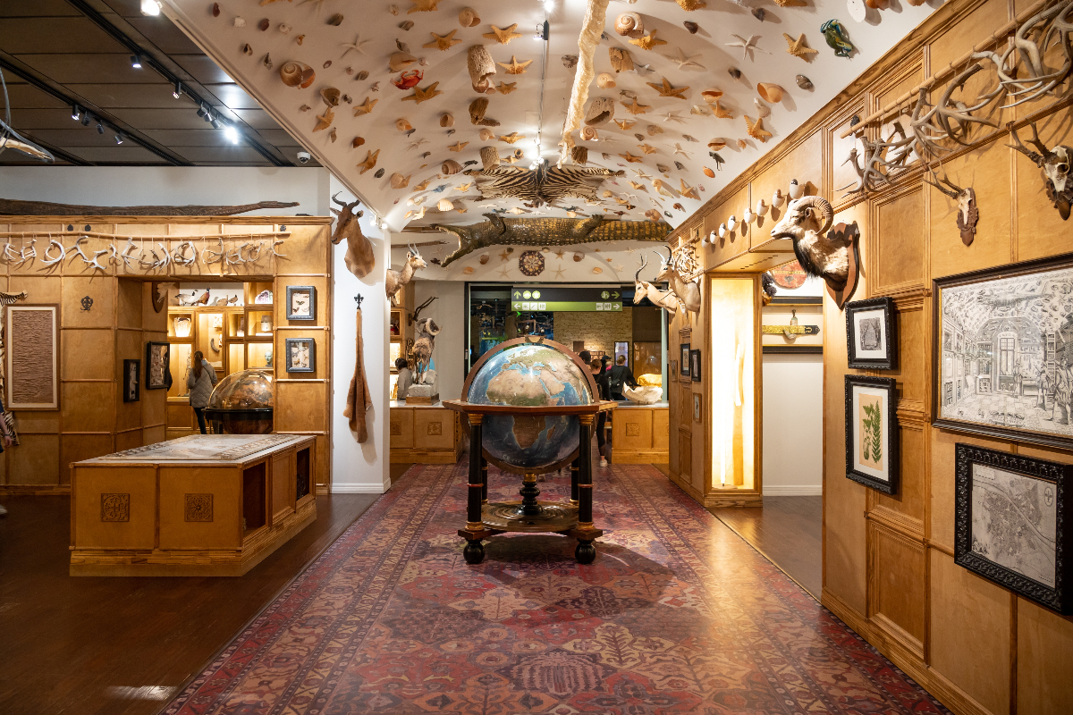 10 Free Museums In Houston To Visit This Season