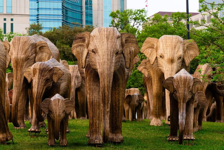 100 Giant Elephant Sculptures Herd Houston Park, Free Exhibition