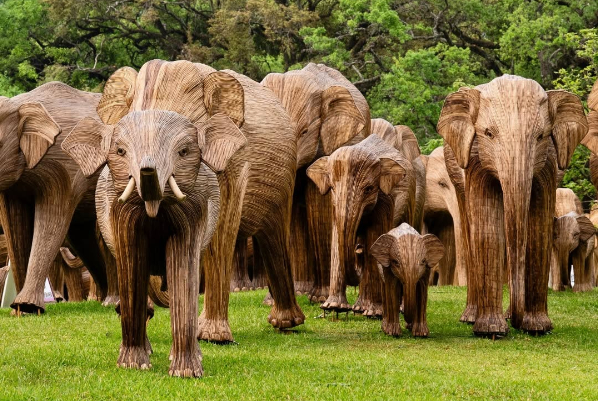 100 Giant Elephant Sculptures Herd Houston Park, Free Exhibition