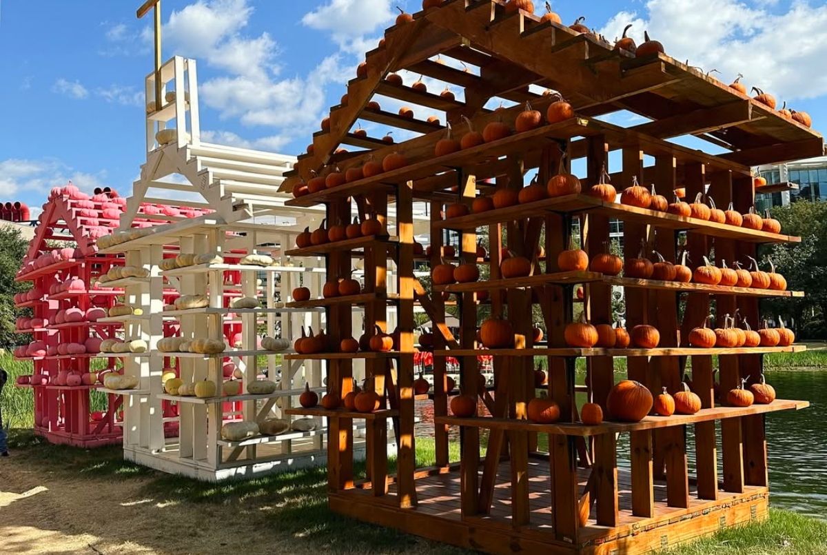 10 Of The Best Things To Do This Fall With Kids In Houston: Fall ...