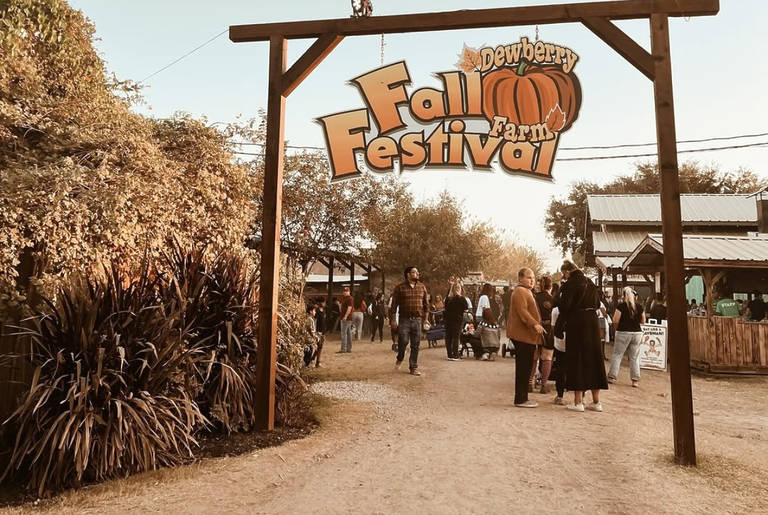 Fall Festival And Houston's '#1 Pumpkin Patch' Opens This Weekend With ...
