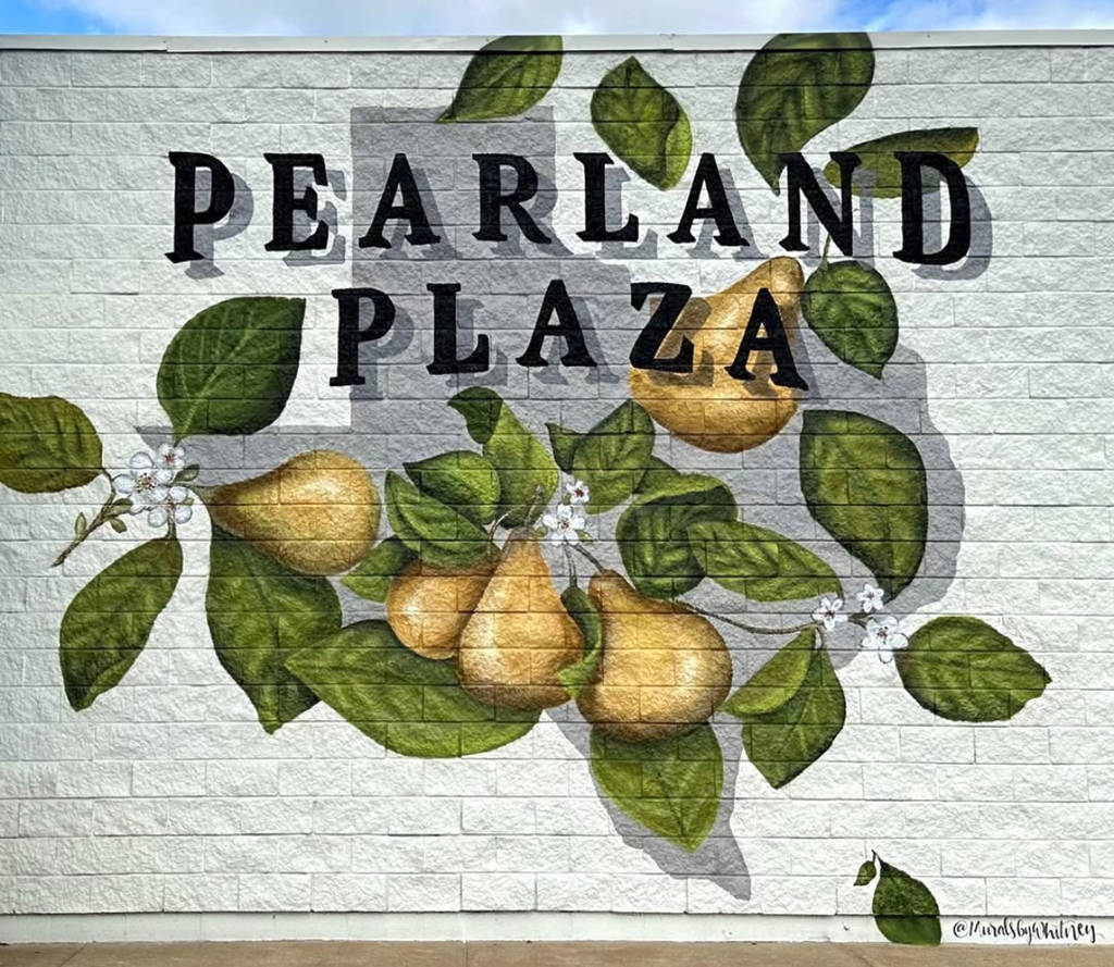 This Houston Suburb Ranked No. 1 On The Best Places To Live In Texas ...