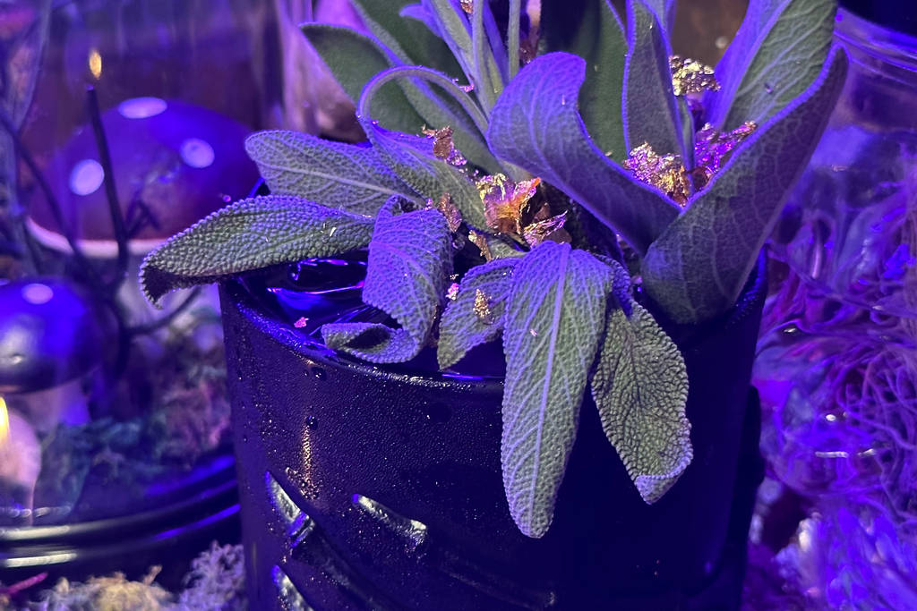 Otherworldly Cocktail Pop-Up Cursed Cauldron Reappearing At New Houston ...