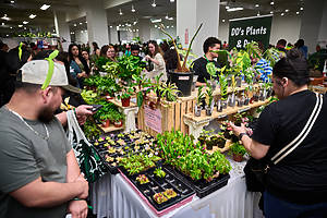 The Nation’s Largest Plant Convention Returns To Houston This April ...