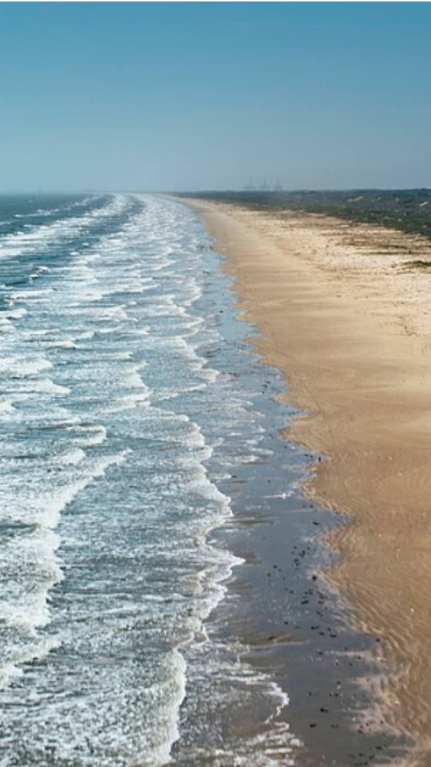 11 Amazing Beaches Near Houston To Enjoy This Summer