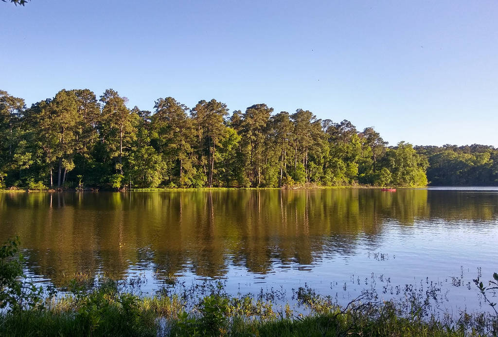 The stunning nature park less than an hour from Houston that hides a ...