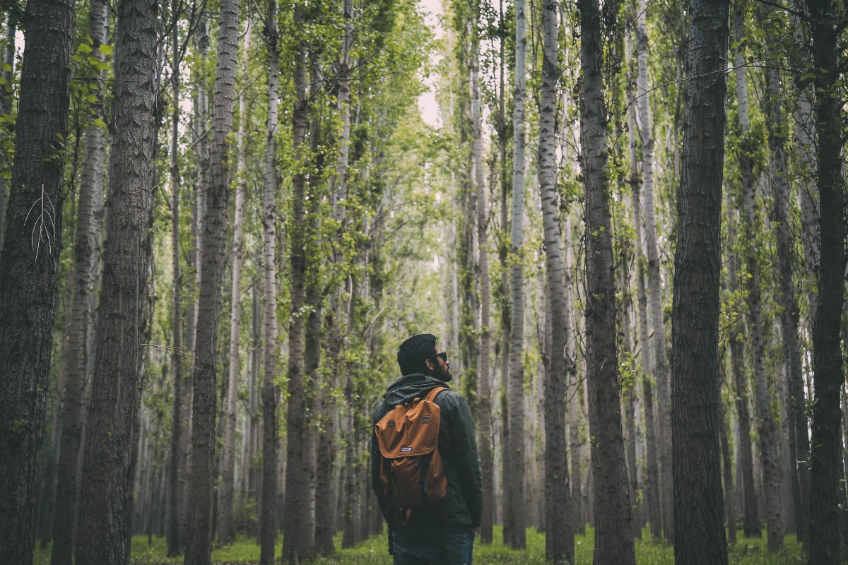 How to find the best routes for fall walks around Cologne