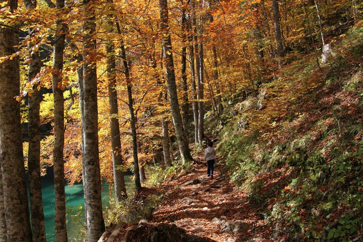 Fall excursions in Cologne: our 6 best day trips