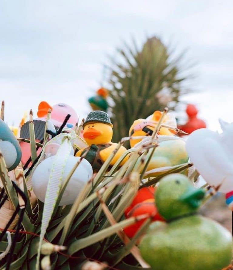 Here's All You Need To Know About The Rubber Ducky Trail