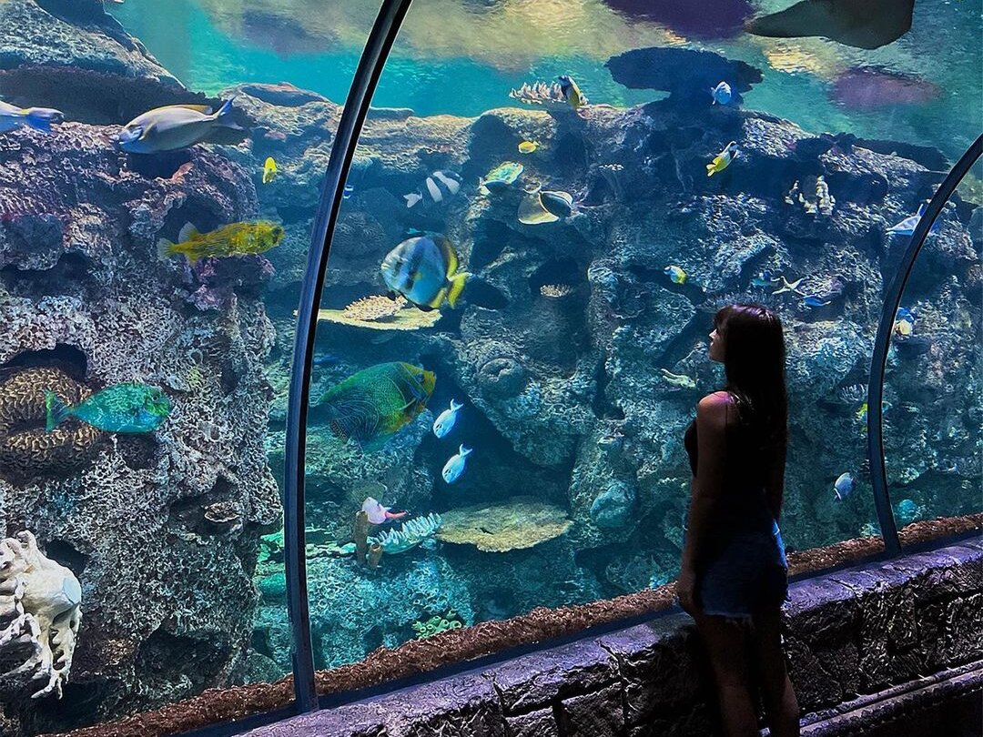 12 Exhibitions In Las Vegas To Educate, Inspire And Entertain