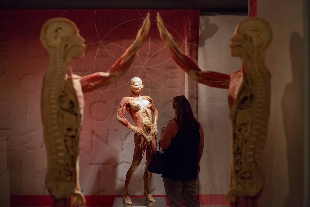This Mind-Blowing Vegas Exhibit Features Real Human Specimens