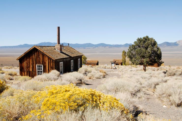 This State Park In Central Nevada Hides 225 Million-Year-Old Reptile ...