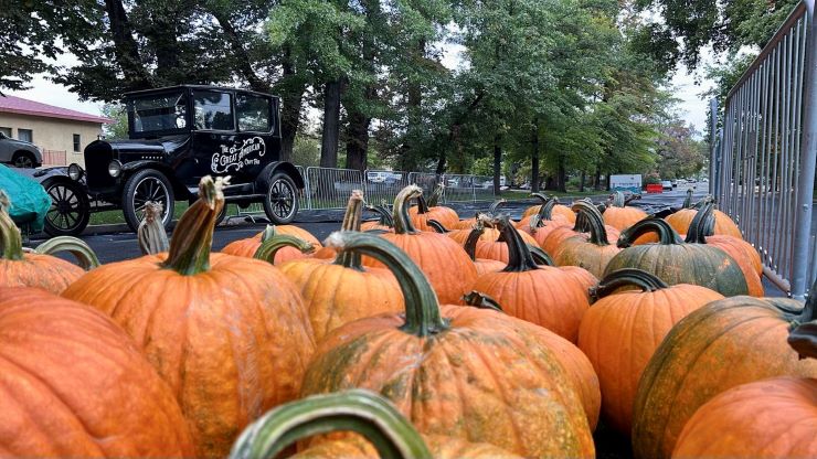 Reno’s Free Pumpkin Festival Is Back For Two Days—Enjoy Live Music ...