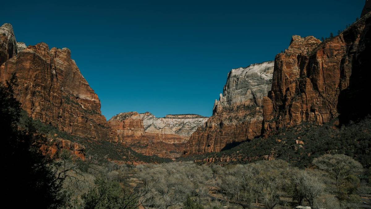Entry Fees To National Parks Spike By $100 In 2026 For Some