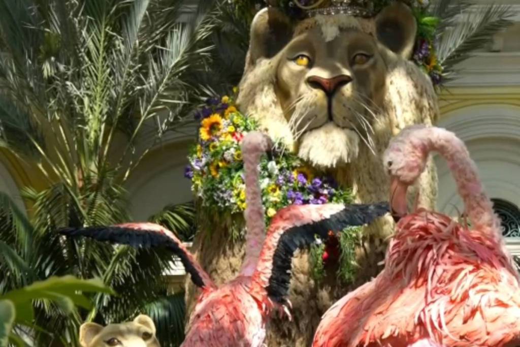 Bellagio Conservatory's stunning summer 2026 display just landed