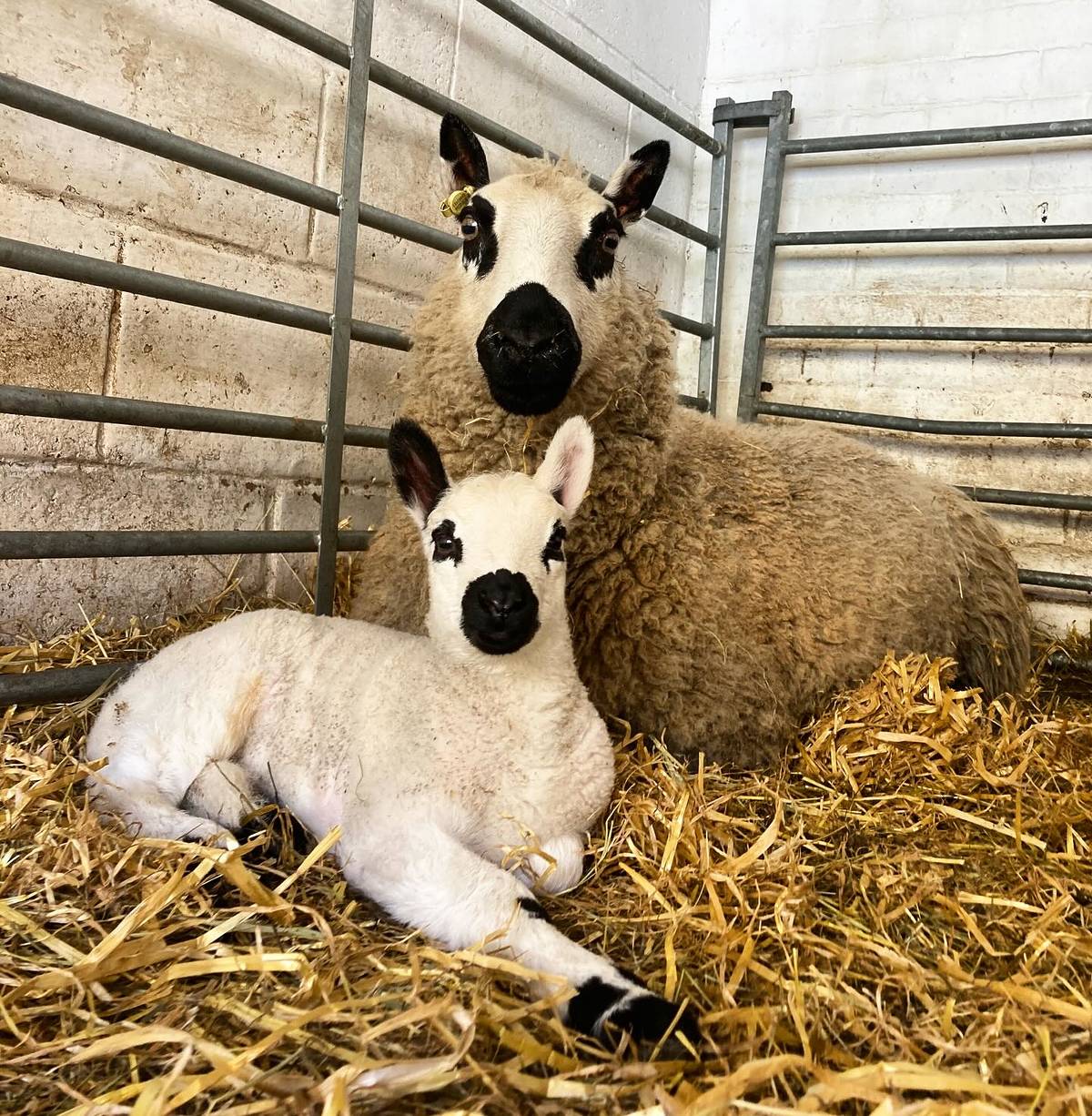 12 Heavenly Things To Do In Hackney Central