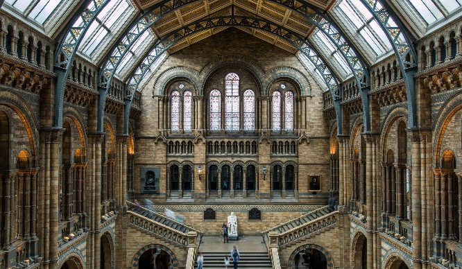 The top events, attractions and things to do in London