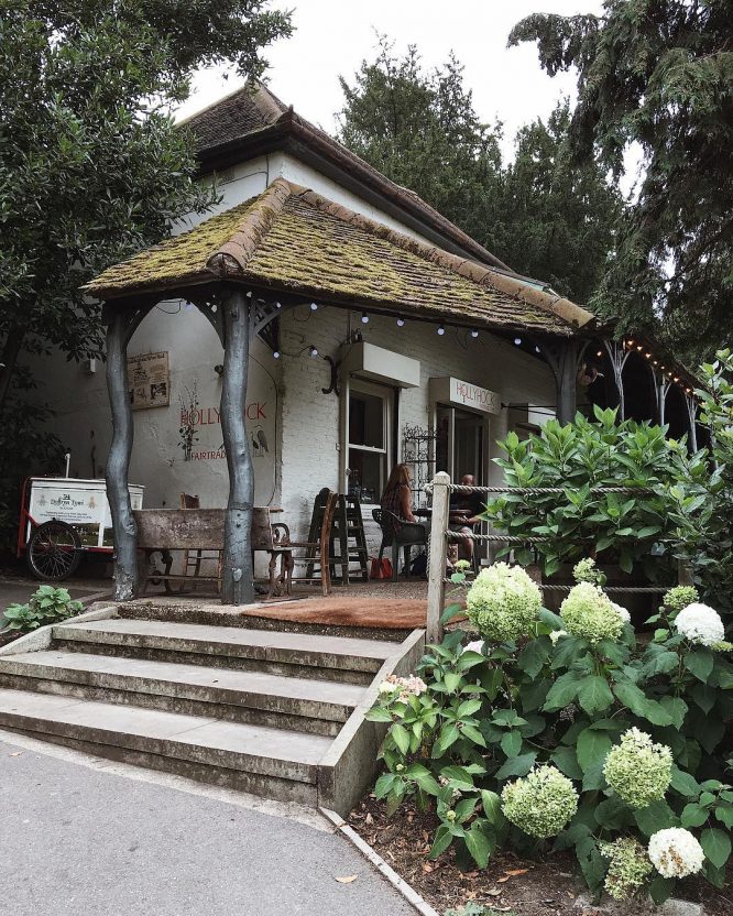 Richmond Park: 9 Things To Know Before Visiting • Secret London