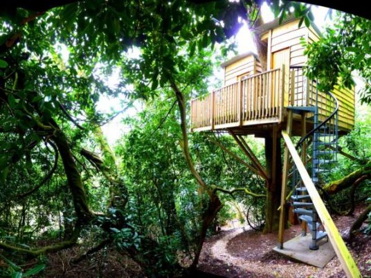 20 Gorgeous Treehouses For Holidays Near London [2019 Guide]