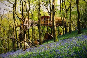 20 Gorgeous Treehouses For Holidays Near London [2019 Guide]