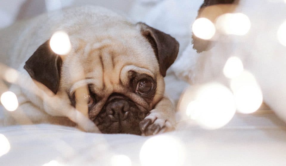 The top events, attractions and things to do in London