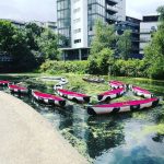 Moo Canoes: Take To The River With These Funky Bovine Boats