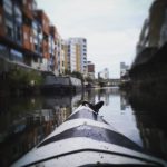 Moo Canoes: Take To The River With These Funky Bovine Boats