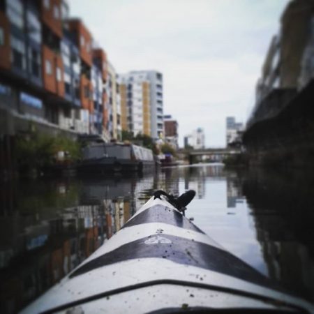 Moo Canoes: Take To The River With These Funky Bovine Boats