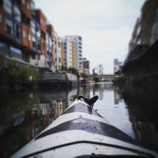 Moo Canoes: Take To The River With These Funky Bovine Boats