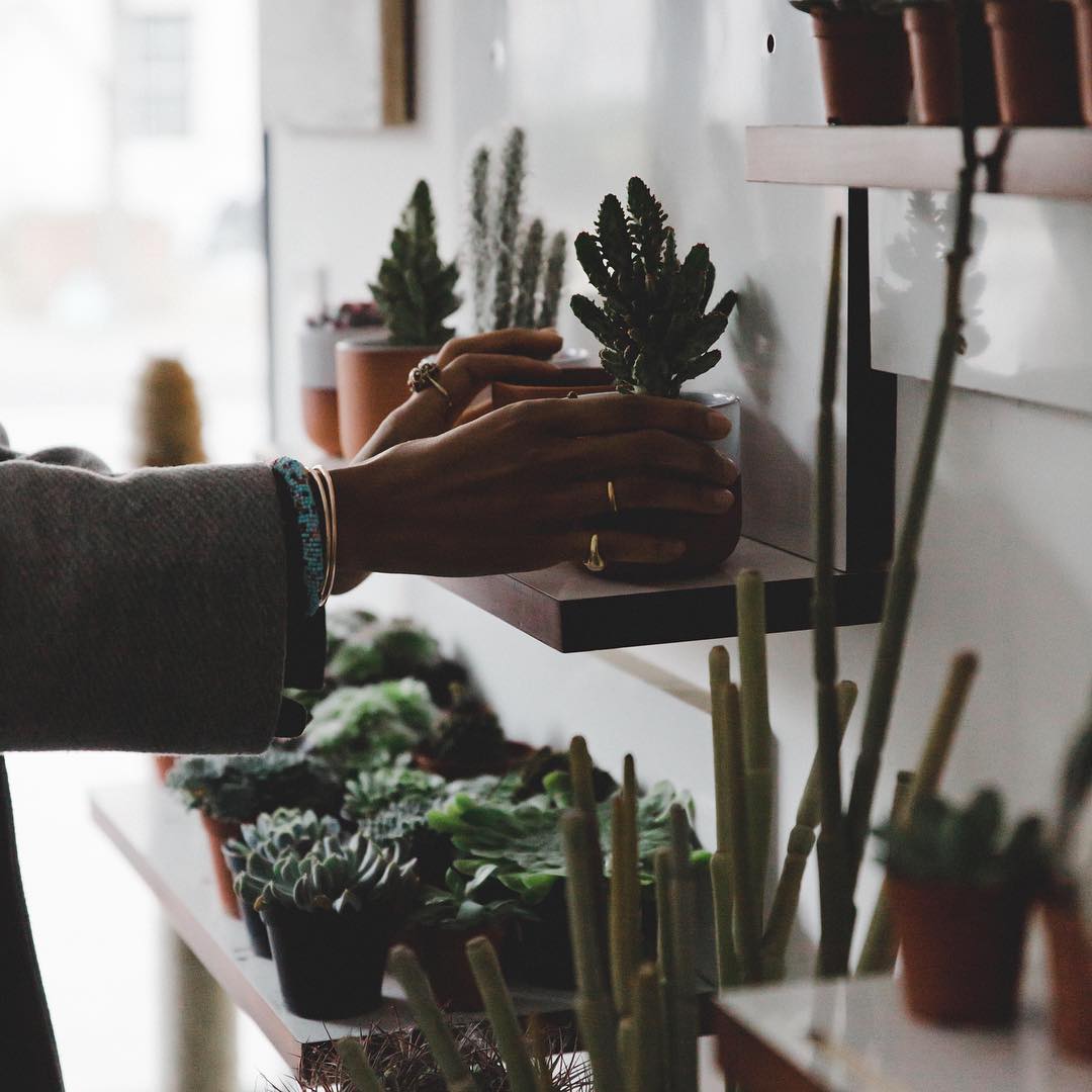 Prick: This Dalston Shop Houses A Cracking Collection Of Cacti