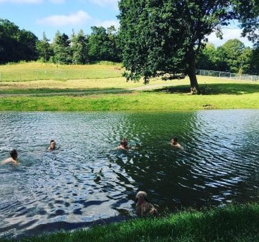 Beckenham Place Park Is Getting A Wild Swimming Lake This Month