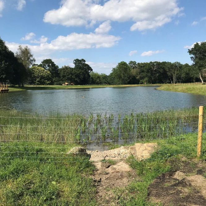 Beckenham Place Park Is Getting A Wild Swimming Lake This Month