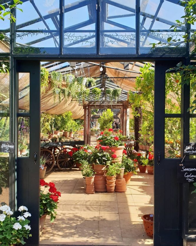 Richmond Park: 9 Things To Know Before Visiting • Secret London