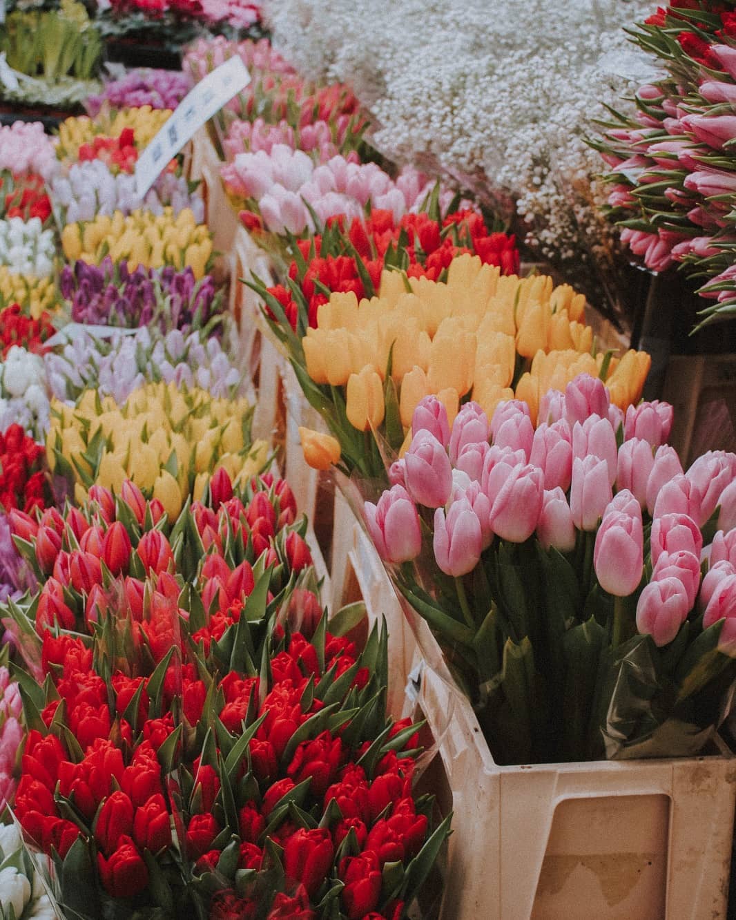 Columbia Road Flower Market: East London's Fabulously Flower-Filled ...