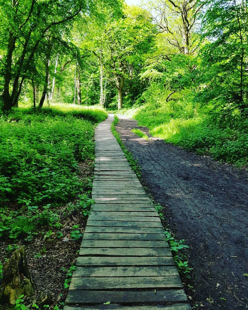 Ruislip Lido: The Only Beach In London You Can Get To By Tube
