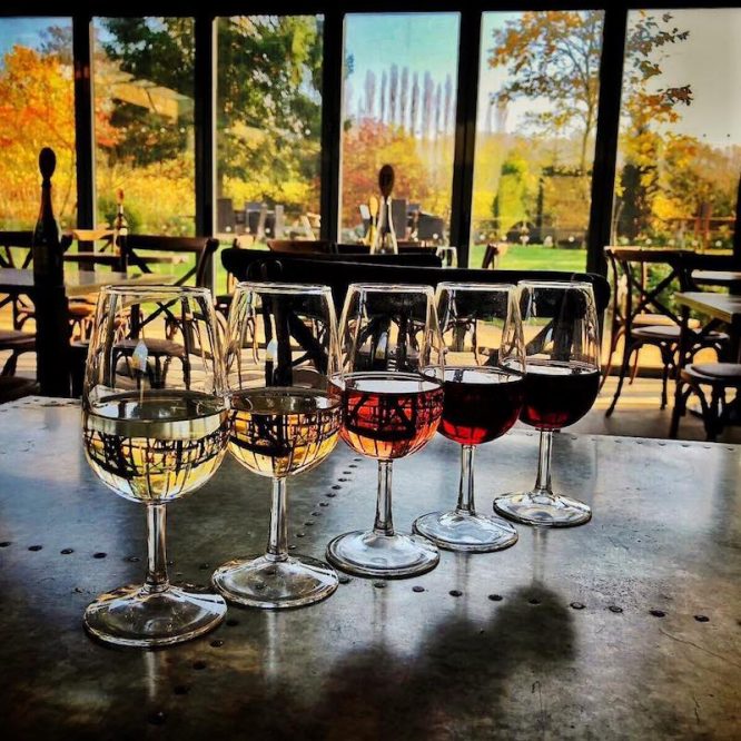 Mount Vineyard: Vineyard Near London Is Perfect For Wine Tastings