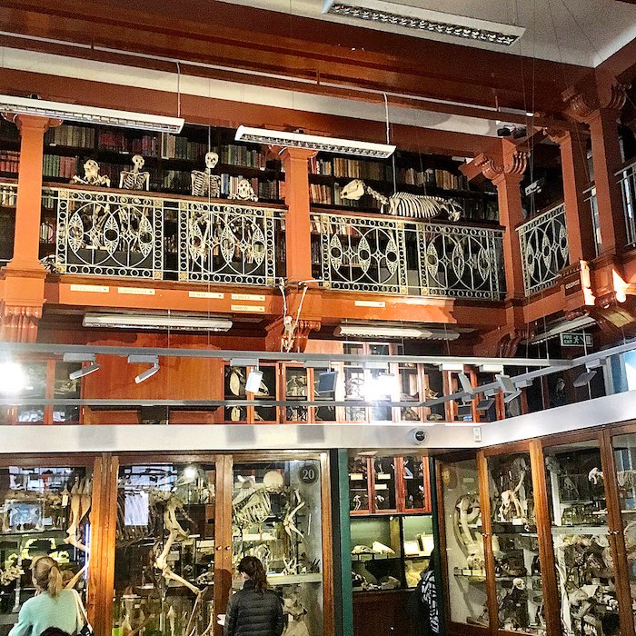 28 Best Paid + FREE Museums in London To Visit [2020 Guide]