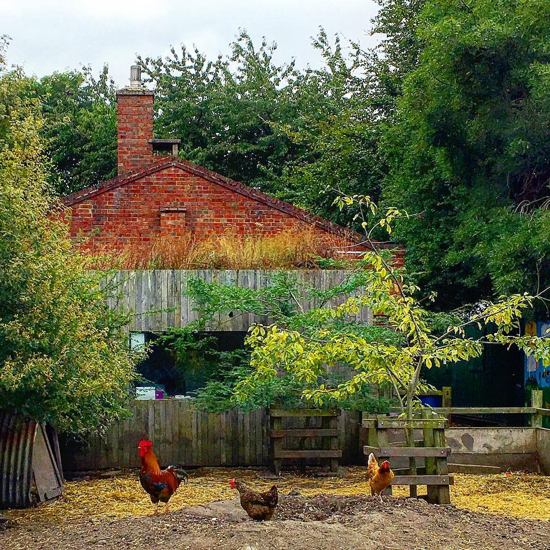 Hackney City Farm: Bringing The Countryside To East London