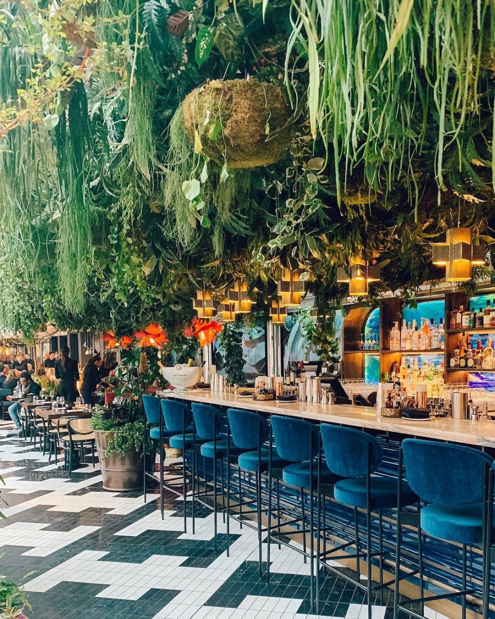 SUSHISAMBA Have A Gorgeous Jungle Restaurant In Covent Garden