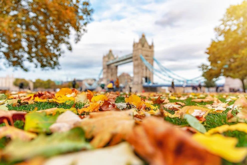 Autumn 2021 • 50 Brilliant Things To Do In London This Autumn