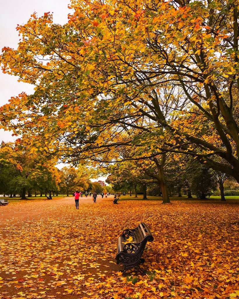 Instagrammable London: 18 Photos Of London Looking Awesome In The Autumn