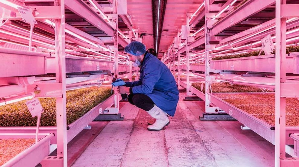 Growing Underground: The World's First Underground Farm Is Open For Tours