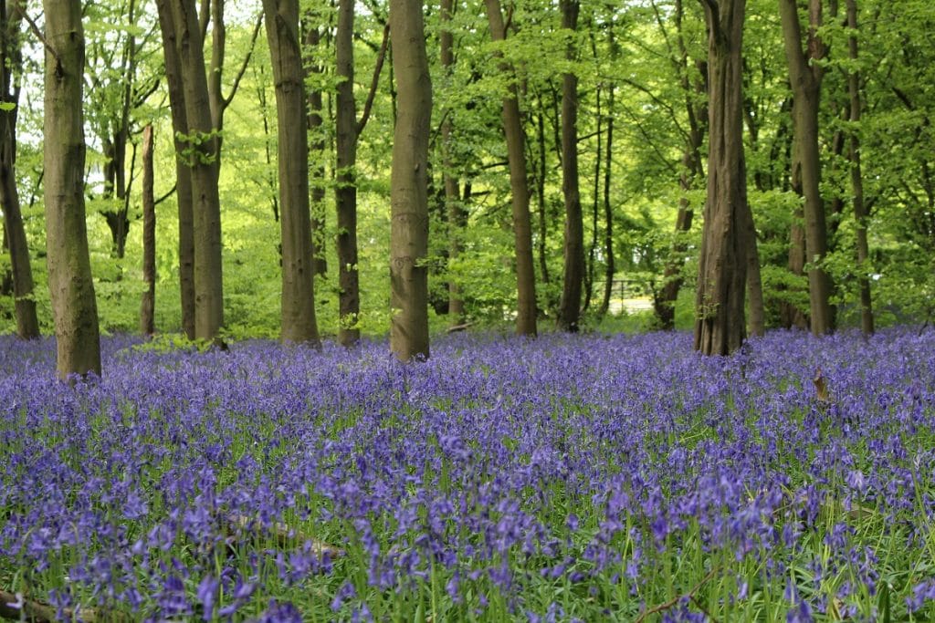 The Best Things To Do In London In April 2025