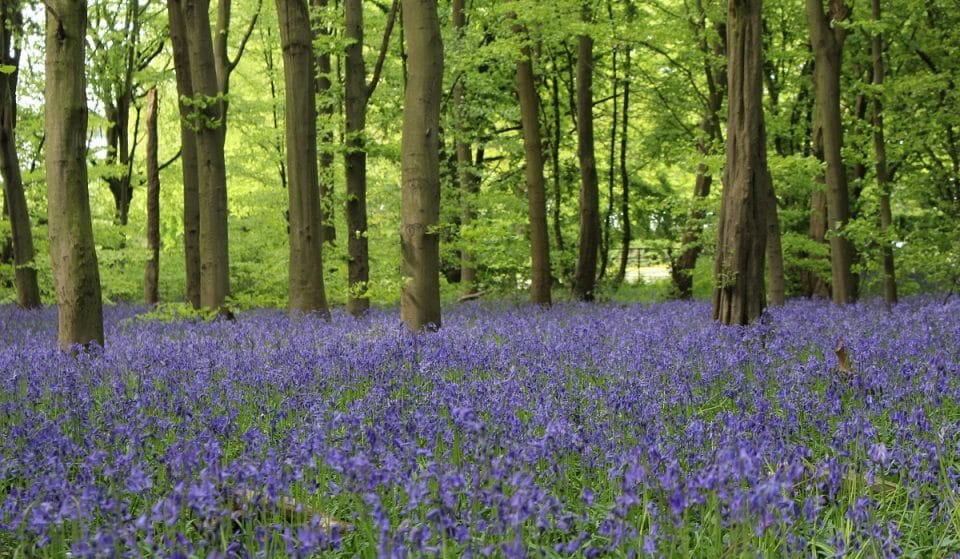 Natural beauty, exercise and wildlife all on London's doorstep