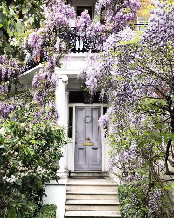 Wisteria Hysteria Hits London, And Here Are The Best Pictures Of It