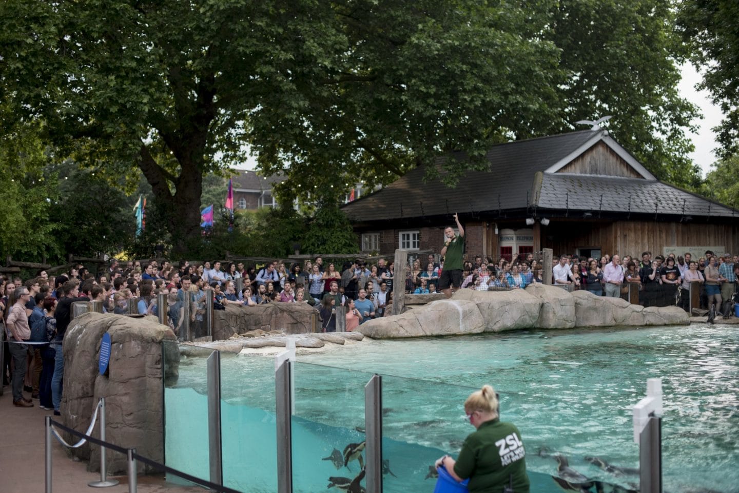 Watch The Sun Go Down With The Animals At ZSL’s Adults-Only Zoo Nights