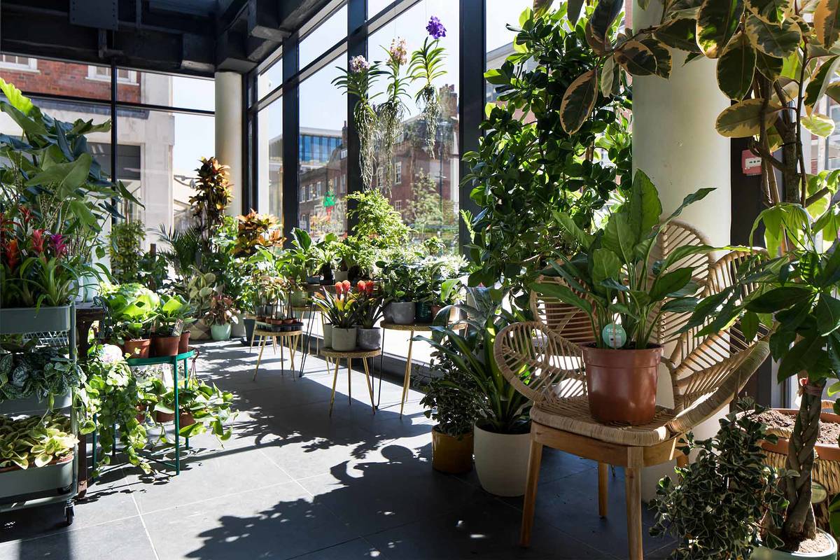 The Best Plant Shops In London To Feed Your Obsession
